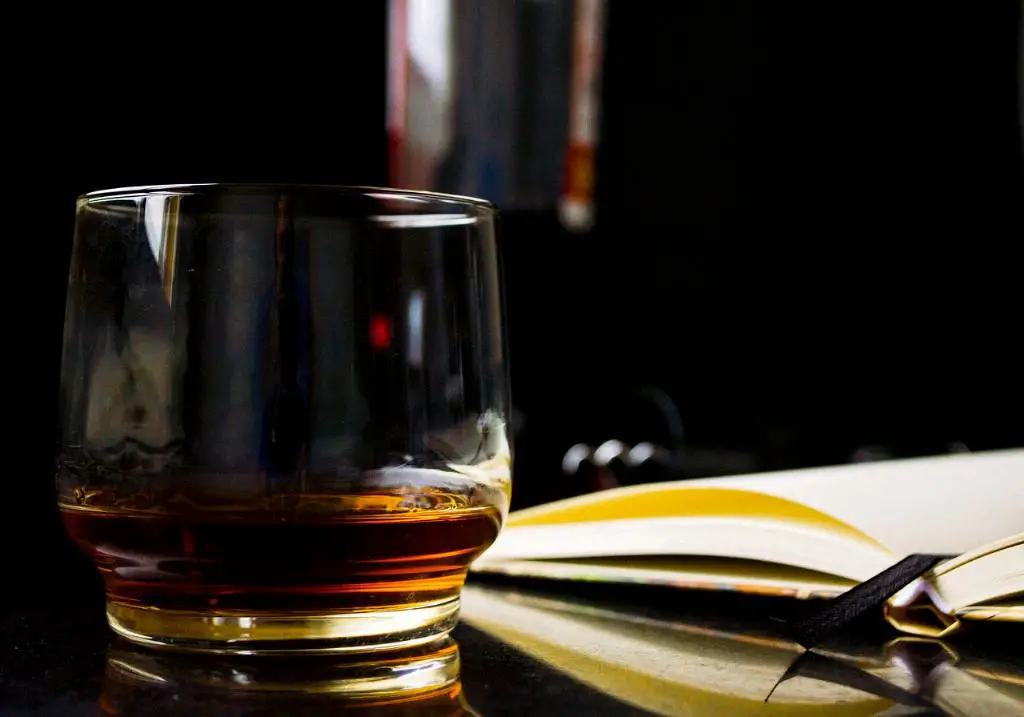 What Is The Snake Alcohol Drink In Japan? [2024]